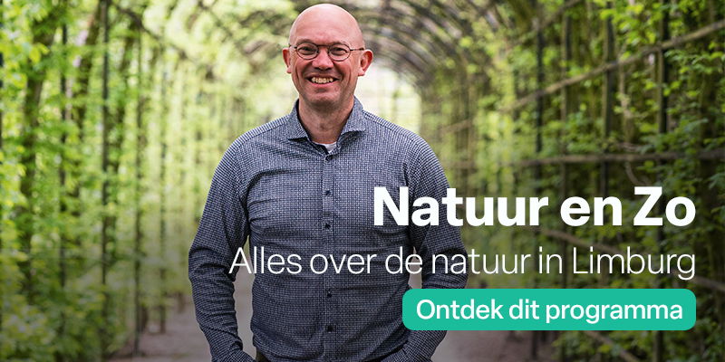 L1 Nieuws - 4 mei 2025 - L1