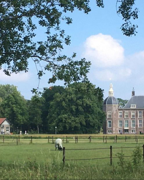 Nieuws uit de gemeente Oegstgeest - Omroep West