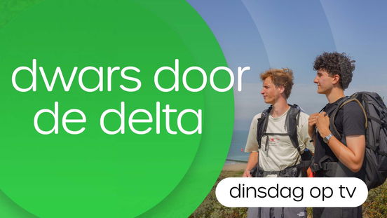 Nieuws uit Hulst - Omroep Zeeland