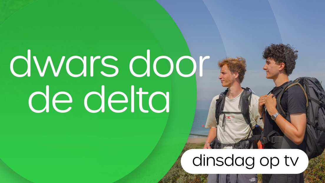 Koos Konijn en Bollo de Beer sluiten vriendschap, maar uiteindelijk mag ...