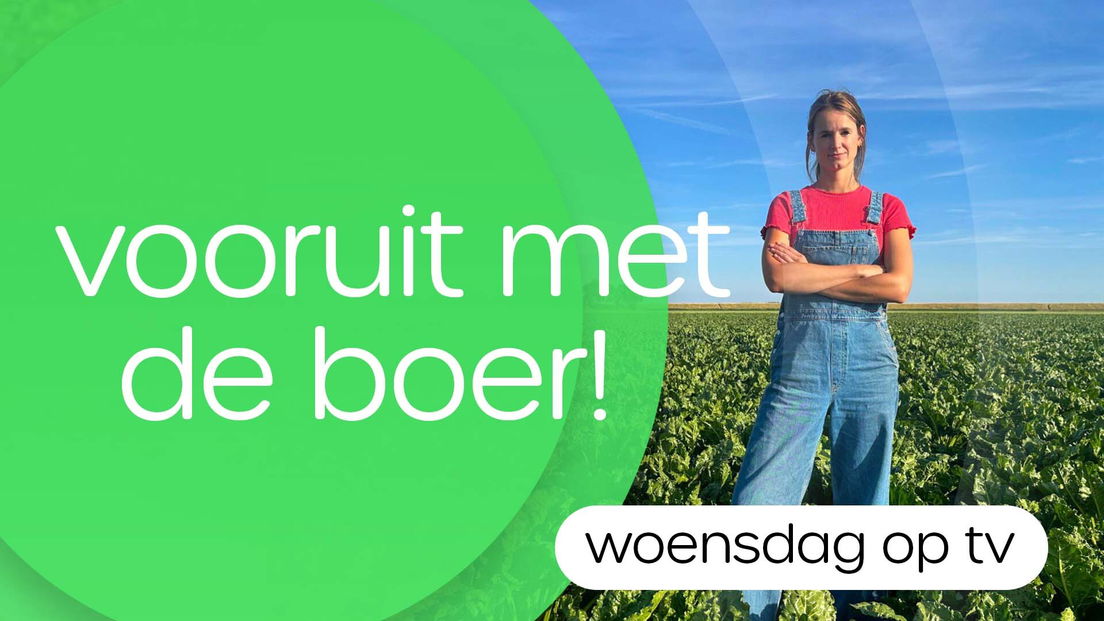 Boemerangzeeuw cruciaal voor toekomst Zeeland, maar steeds minder jongeren komen terug - Omroep ...