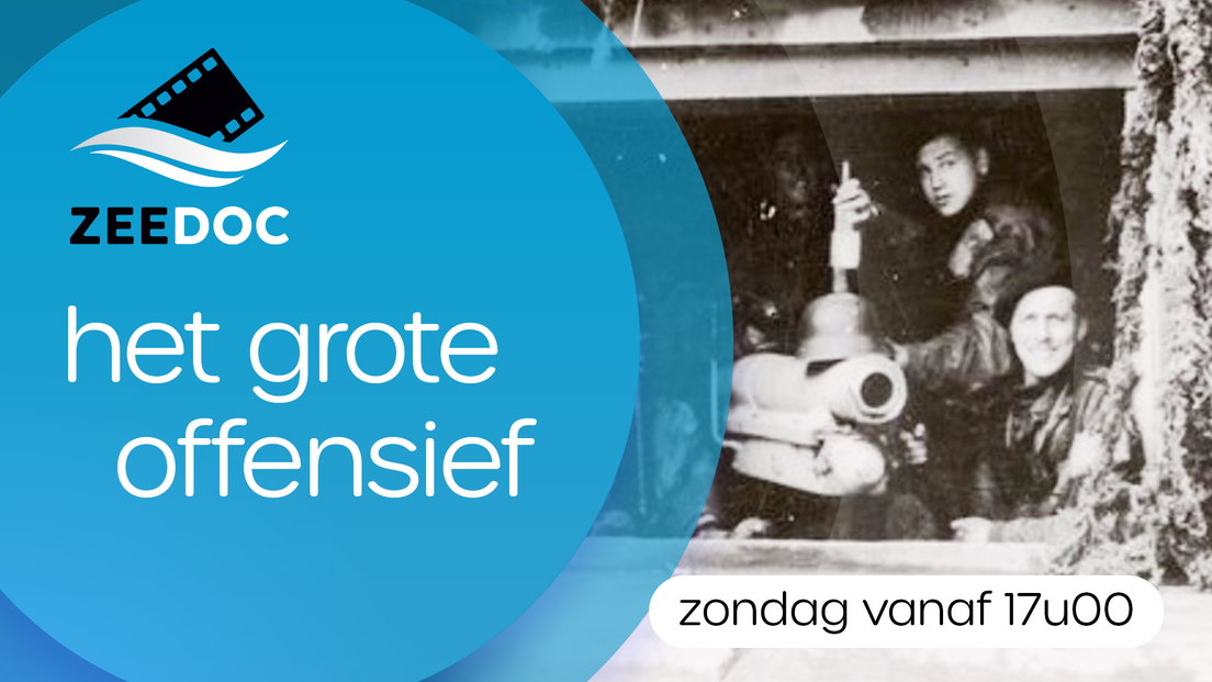 Iedere dag zegt Erica: 'Welkom bij de nieuwe vlog van de Kattenbende ...
