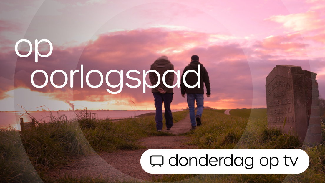 Koos Konijn en Bollo de Beer sluiten vriendschap, maar uiteindelijk mag ...