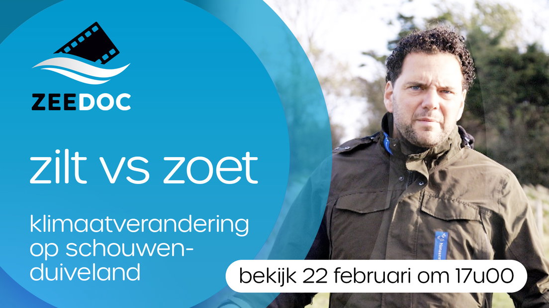 Iedere dag zegt Erica: 'Welkom bij de nieuwe vlog van de Kattenbende ...